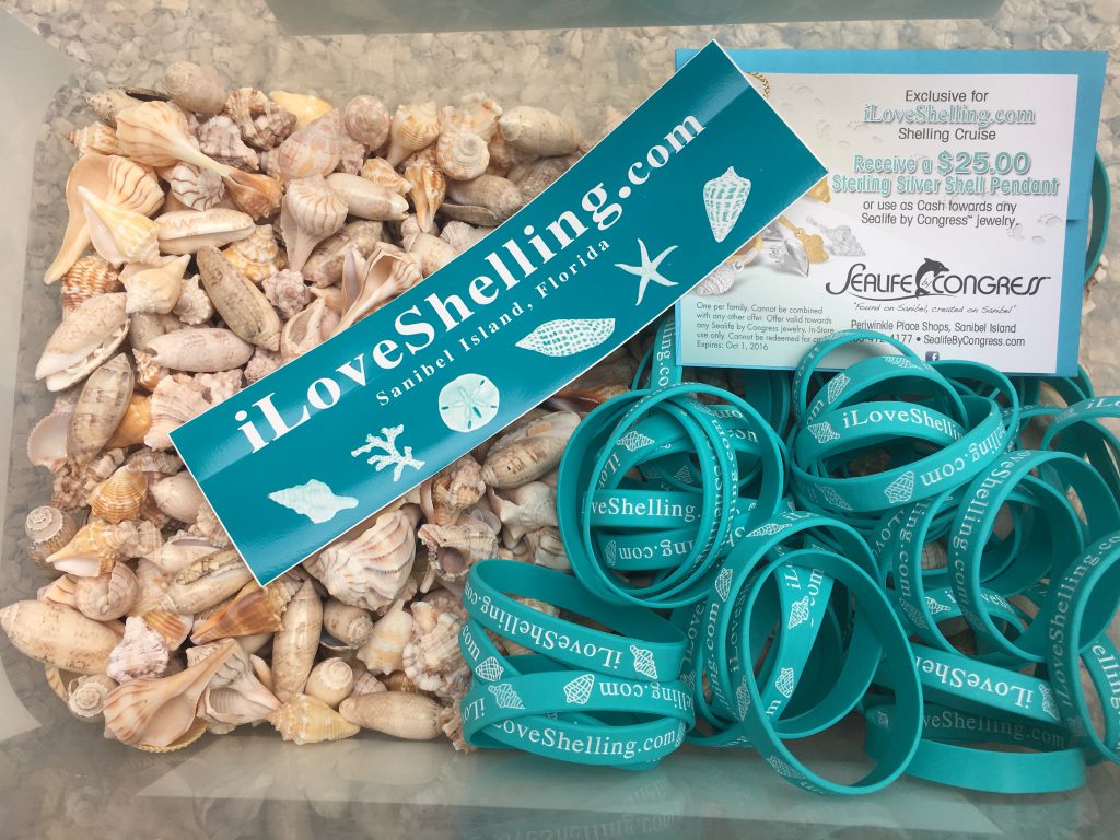 iLoveShelling Seashell Adventure to Cayo Costa… On Video | I Love Shelling