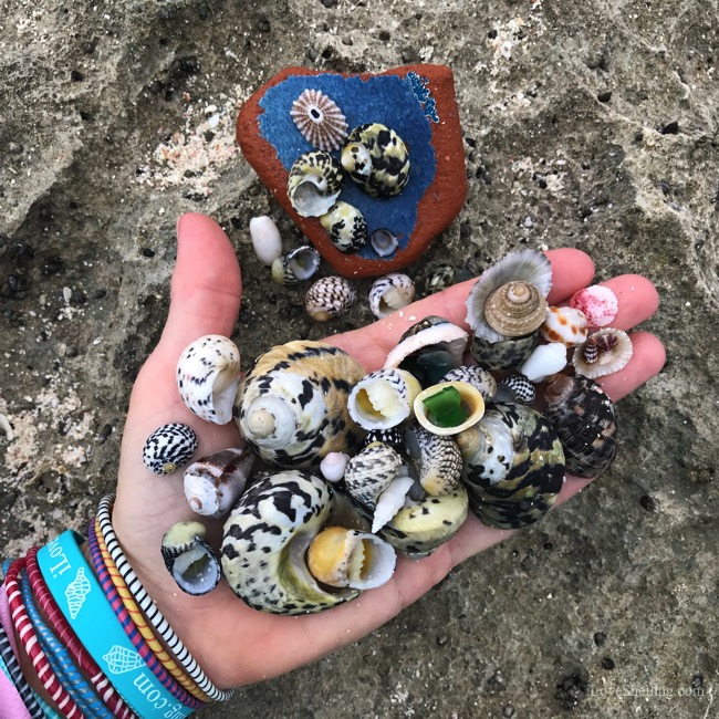 Combing The Beaches Of The World One Island At A Time | I Love Shelling