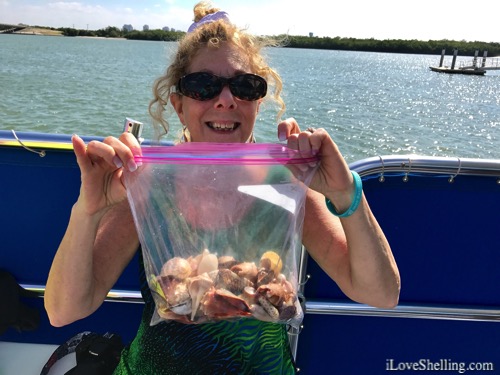 Island Beach Combing Treats and Treasures | I Love Shelling