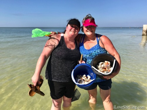 Island Beach Combing Treats and Treasures | I Love Shelling