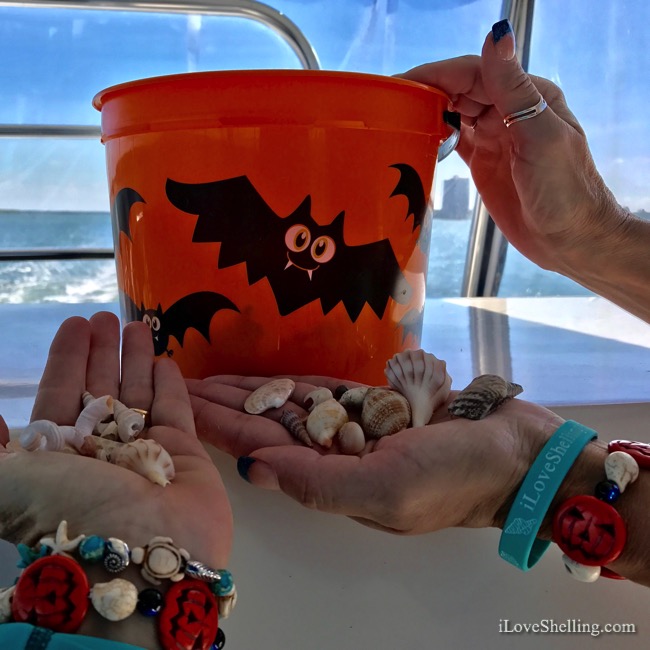 halloween-shelling-1 | I Love Shelling