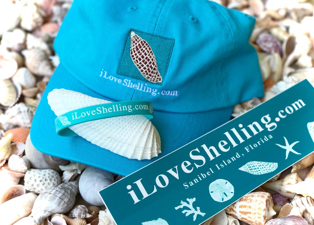 A Week Of Shell Wonder | I Love Shelling
