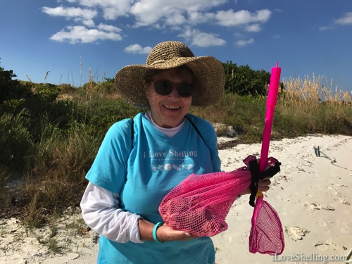 Island Beach Combing Treats and Treasures | I Love Shelling
