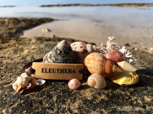 Beachcombing Eleuthera Island in the Bahamas | I Love Shelling