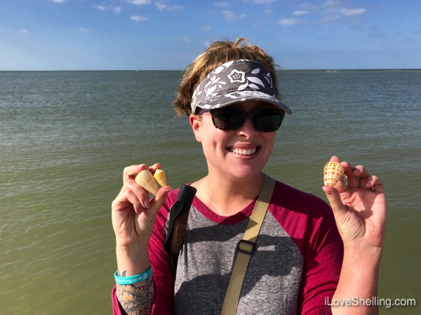 Shelling Worth Every Sand Dollar | I Love Shelling