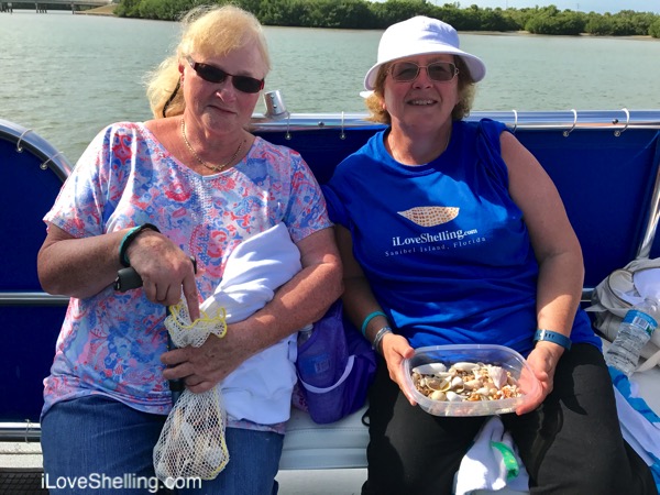 Warm, Colorful Shells on A Sunny Beach | I Love Shelling