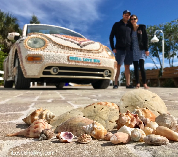 Seashells Found Around The World | I Love Shelling