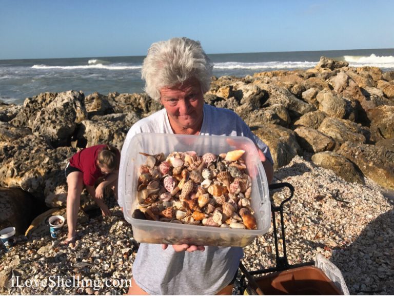 Abshellute Shellmania! | I Love Shelling