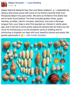Sharing The Shellove on Shell Day | I Love Shelling