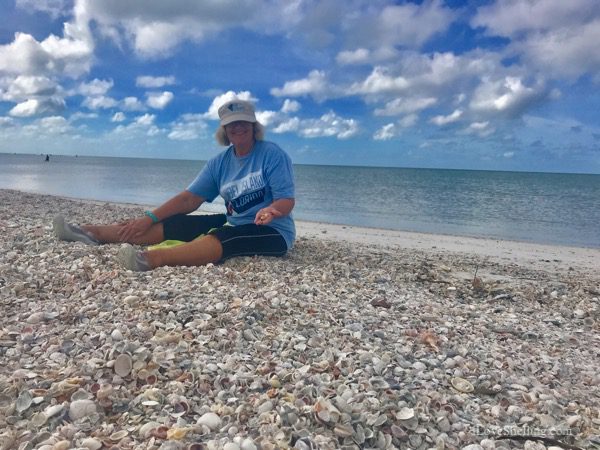 Shell Pictures Worth a Thousand Words | I Love Shelling