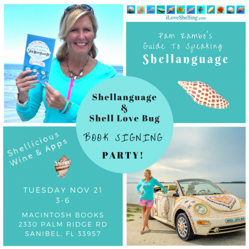Shellanguage and Shell Love Bug | I Love Shelling