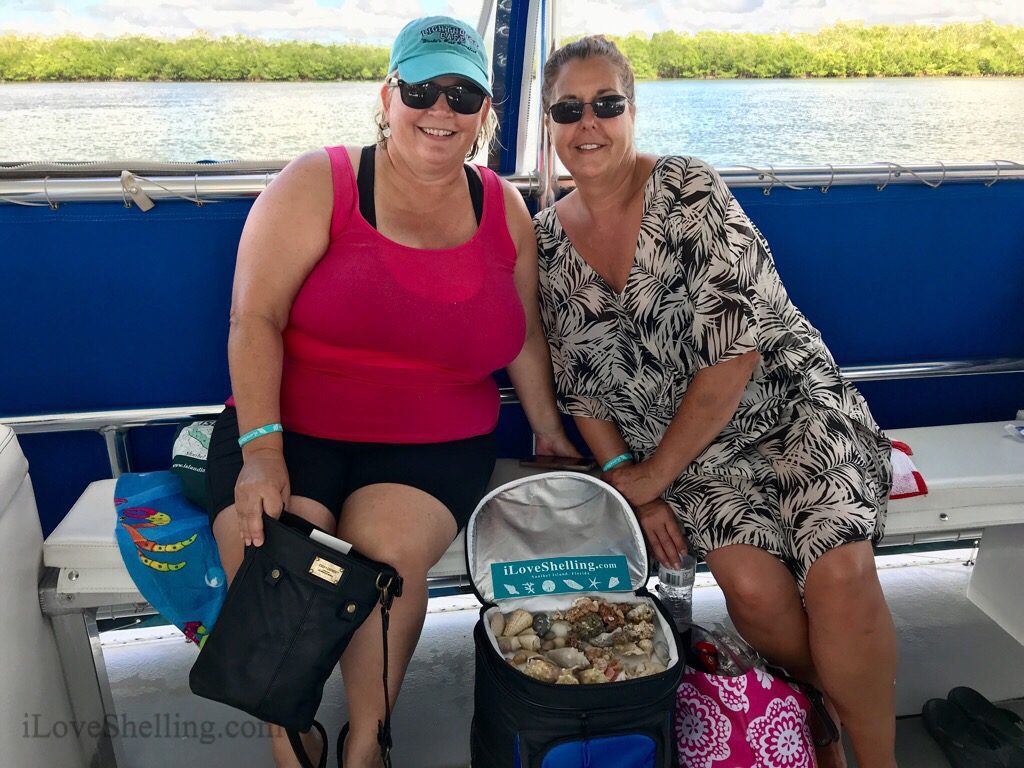 Shelltastic Shell Trip | I Love Shelling