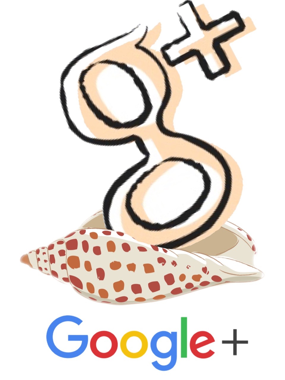 Google Plus social shell Google Plus social shell – I Love Shelling