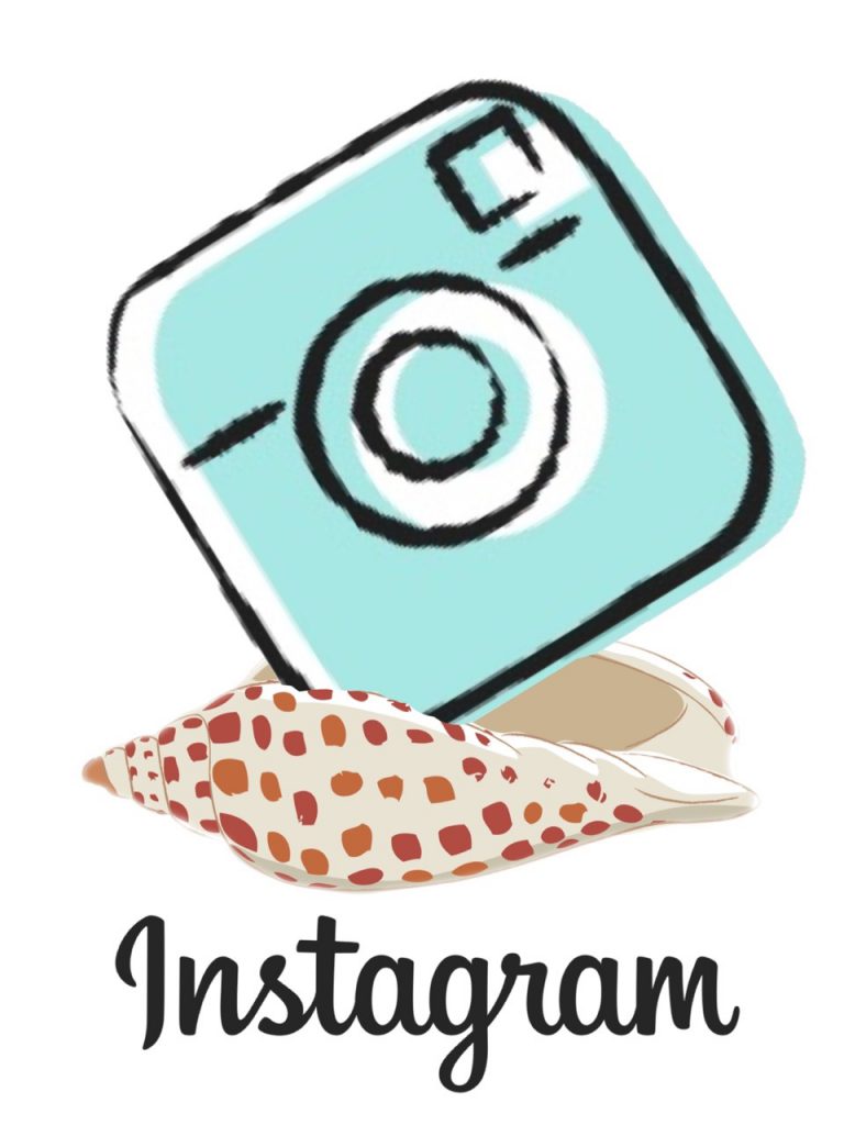 instagram social shell | I Love Shelling