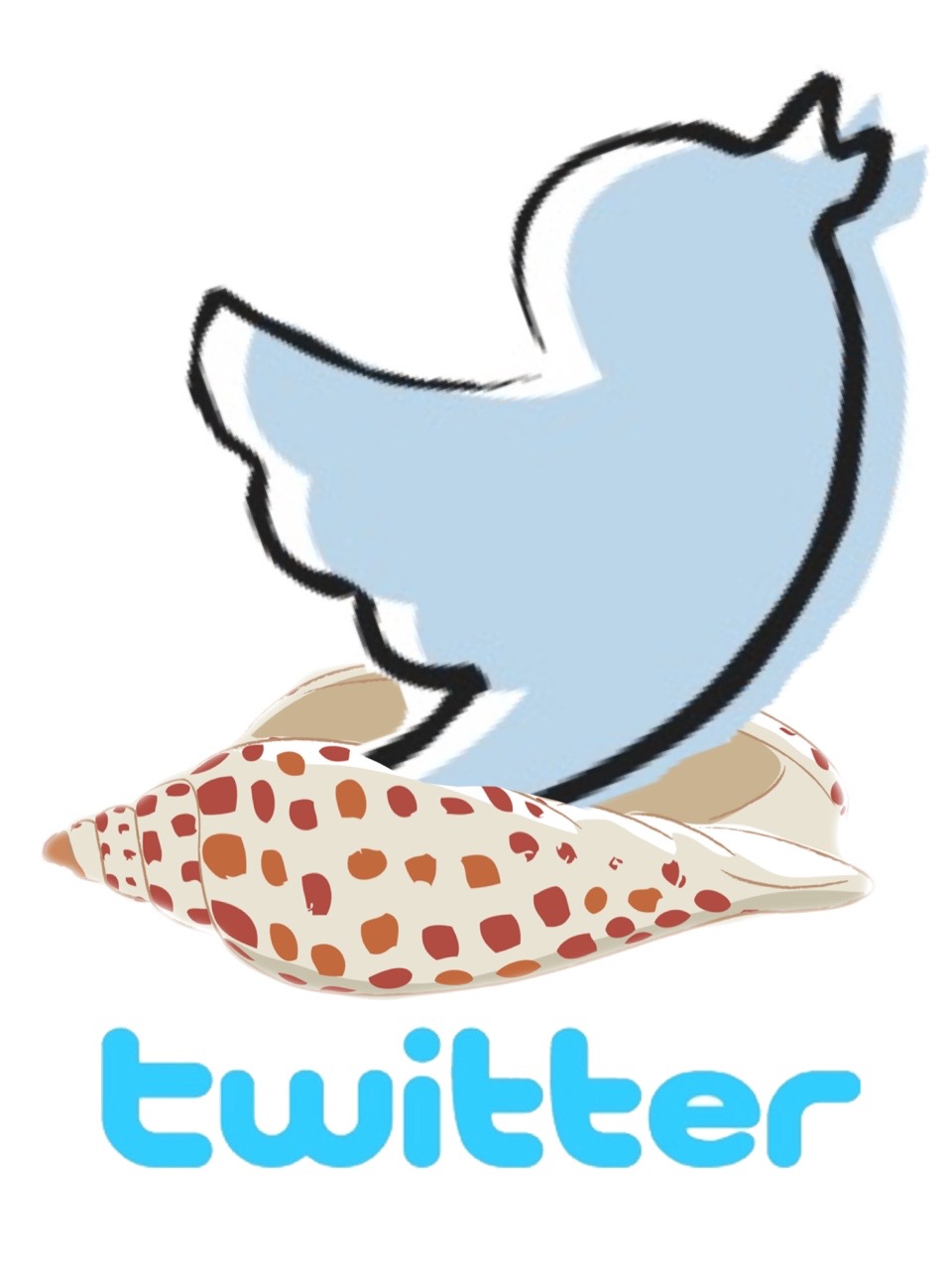 twitter social shell twitter social shell – I Love Shelling