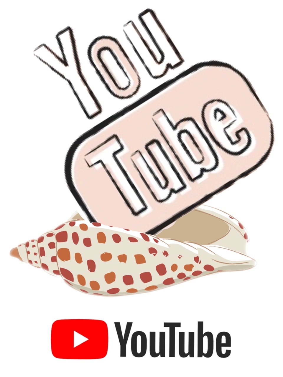 Videos | I Love Shelling