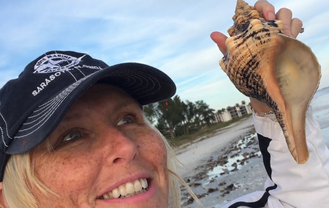 Beach Combing Surprise Seashell Beach Combing Surprise Seashell – I ...