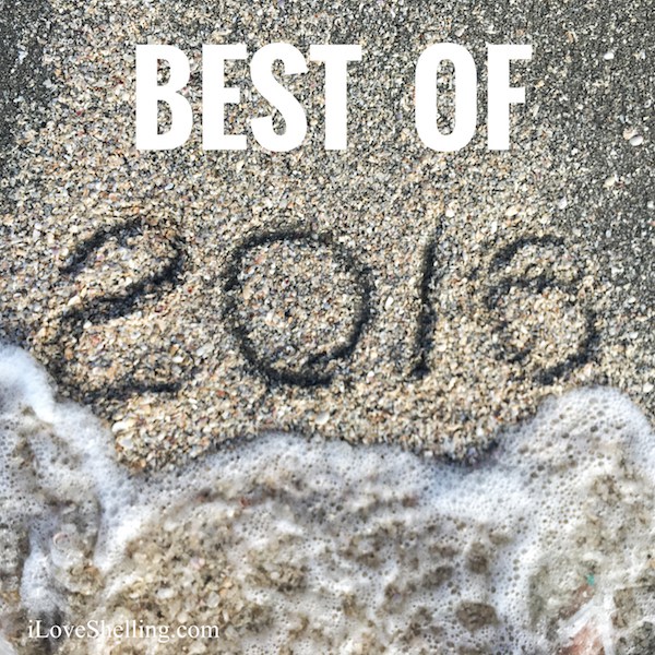 Best-of-2016-image-1 Best-of-2016-image-1 – I Love Shelling